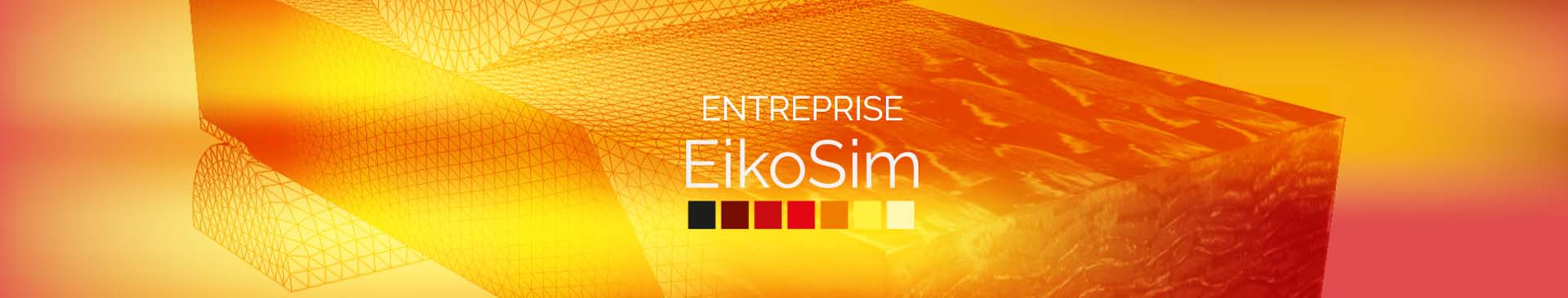 Actions : Investissement dans le développement Eikosim